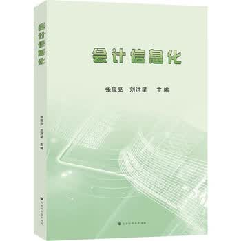 会计信息化