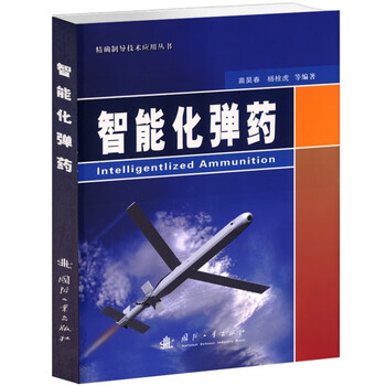 制导技术应用丛书：智能化弹药
