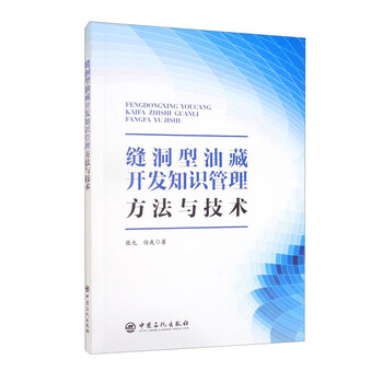 缝洞型油藏开发知识管理方法与技术