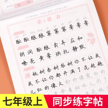 七年级上下册同步字帖写字课课练初中生人教版语文练字帖正楷硬笔书法练字写字本天天练中学生同步教材练字帖 七年级下册课课练