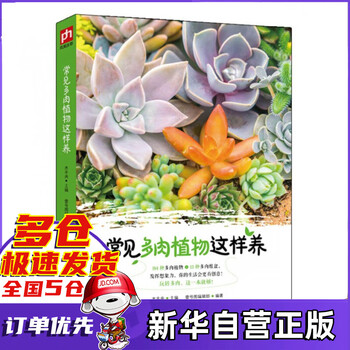 常见多肉植物这样养