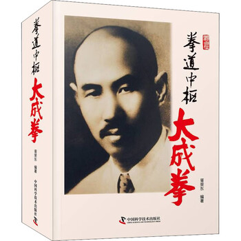 拳道中枢 大成拳 图书