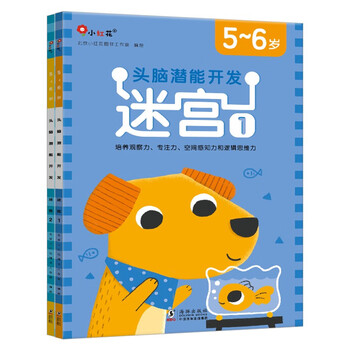 邦臣小红花·头脑潜能开发5-6岁：迷宫（共2册）