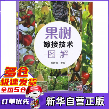 果树嫁接技术图解