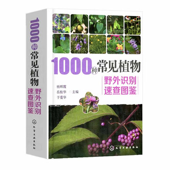 1000种常见植物野外识别速查图鉴 杨辉霞 家庭书籍野外识别原植物鉴别图册中国常用手册 图识别与应用