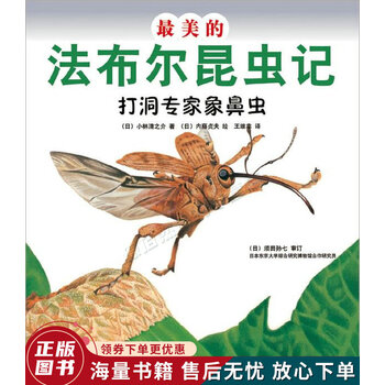 最美的法布尔昆虫记：打洞专家象鼻虫