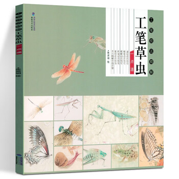【，当天发货】工笔草虫一点通工笔技法精解 张贤明绘国画花鸟鱼虫技法讲解 基础技法白描勾线绘画作品 名家画作品鉴解