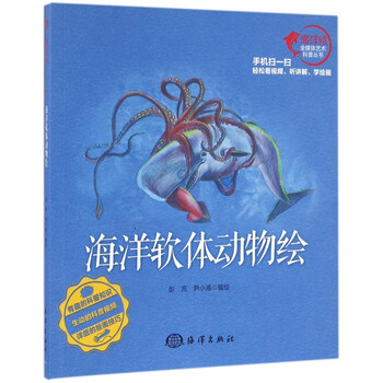 海洋软体动物绘/海洋绘全媒体艺术科普丛书