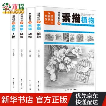 从零起步学素描：人物+动物+风景+植物（套装共4册 扫码观看教学视频）