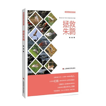 拯救朱鹮 陈旭