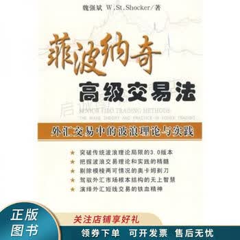 菲波纳奇高级交易法外汇交易中的波浪理论与实践 魏强斌