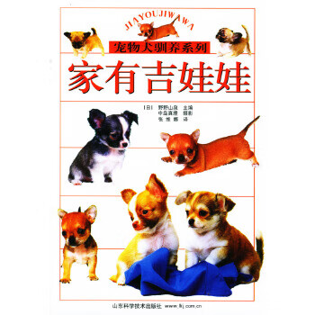 家有吉娃娃【正版图书】