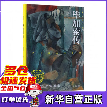 毕加索传