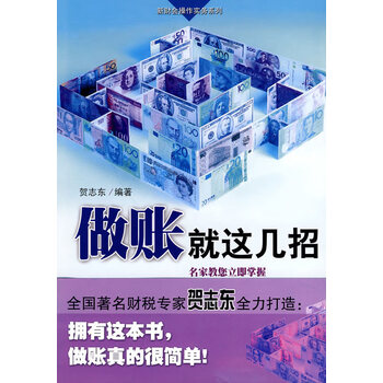 做账就这几招 贺志东著 广东经济出版社