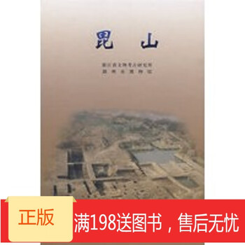正版！ 《毘山》 9787501018888 文物出版社