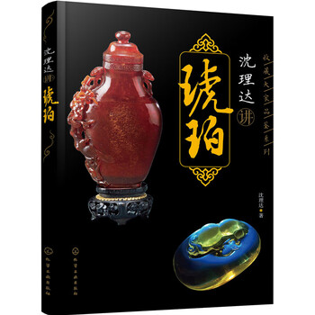 沈理达讲琥珀【正版图书】