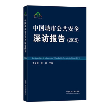 中国城市公共安全深访报告（2019）