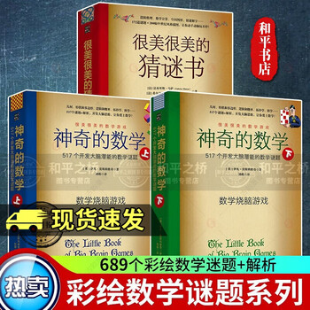 数学谜题系列 全3册 新版很美很美的猜谜书+神奇的数学上下册 517个开发大脑潜能的数学谜题书