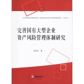 完善国有大型企业资产风险管理体制研究 杨志远 著