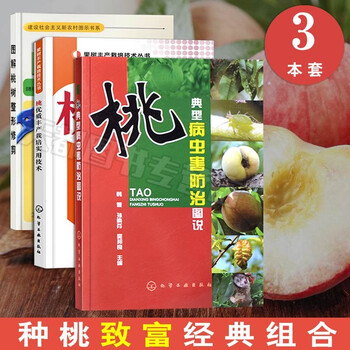 桃树栽培技术+图说桃典型病虫害防治+修剪 果树种植栽培管理技术书籍 高效栽培桃