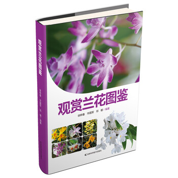 观赏兰花图鉴