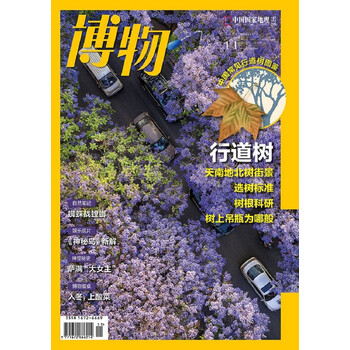 博物 2021年11月号 中国国家地理青春少年版博物君式科普百科期刊 京东自营