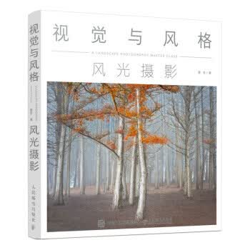 【新华正版】 视觉与风格 风光摄影 董冬 著 人民邮电出版社