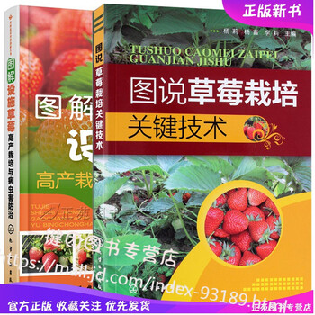 图解设施草莓高产栽培与病虫害防治+图说草莓栽培关键技术 2册 草莓育苗技术书籍 草莓病虫害防治技术