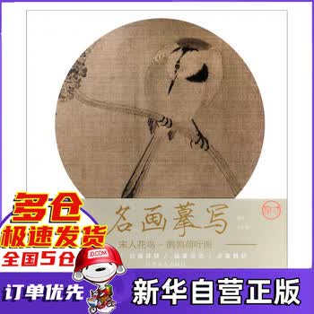 宋人花鸟(鹡鸰荷叶图)/名画摹写