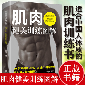 肌肉健美训练图解德拉威尔肌力量运动解剖学图谱教程大全私人教练徒手健身精准拉伸训练体能训练书运