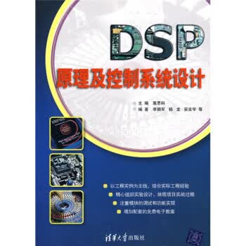 DSP原理及控制系统设计【正版图书】
