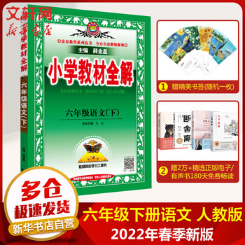 2022年春新版 薛金星小学教材全解 六年级下册语文 RJ人教部编版 图书