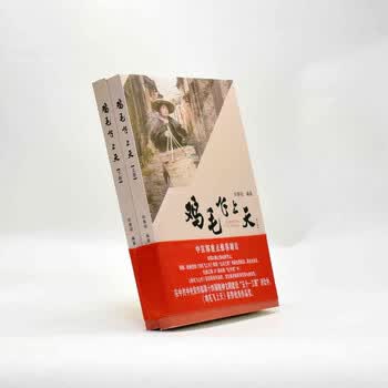 有货 正版  鸡毛飞上天上下册同名影视原著小说 何赛阳著 出版社: 浙江人民出版社ISB