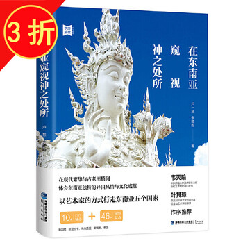 世界各国艺术概况国外游艺游未尽丛书 在东南亚窥视神之处所 定价70