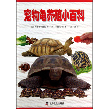 宠物龟养殖小百科