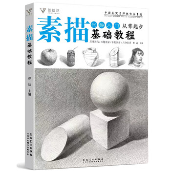 素描基础教程 素描零基础教程 素描书籍手绘入门 学画画初自学书教材 铅笔临摹册静物单体集石膏几何体儿