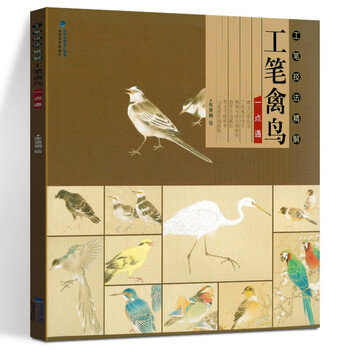 【】工笔技法精解 工笔禽鸟一点通 张贤明绘 工笔画花鸟国画白描绘画技法解析步骤完全入门书籍教程 美术绘画基础