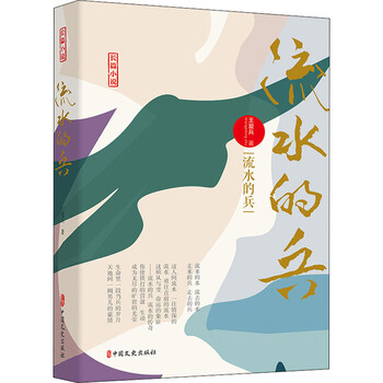 流水的兵 王爱兵  书籍