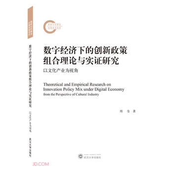 数字经济下的创新政策组合理论与实证研究  9787307227699     武汉大学