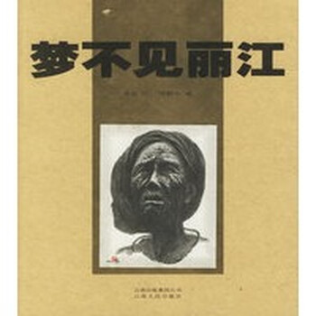 梦不见丽江 张跃兵 绘,布花 撰 云南人民出版社