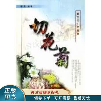 切花菊 穆鼎