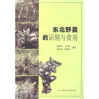 东北野菜的识别与食用