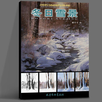 剖析油画的奥秘：冬日雪景 解中才 天津杨柳青画社