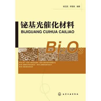 铋基光催化材料