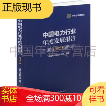 2021中国电力行业年度发展报告（ 中文） 中国电力行业年度发展报告2021版