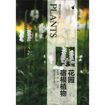 花园宿根植物