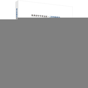 纳米受限空间固液静电吸附原理及储能应用