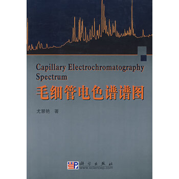 毛细管电色谱谱图 尤慧艳