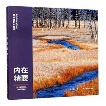 正版 内在精要庄开歌9787551419154