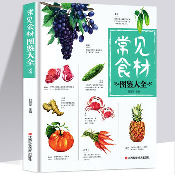 甘智荣 著 常用食材选购安全鉴别指南详解蔬菜水果速查手册识别处理保存健康养生食谱食材百科全书书籍 常见食材图鉴大全